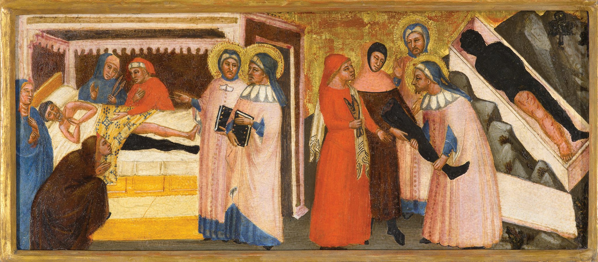 L’histoire de la greffe – Greffe de Vie